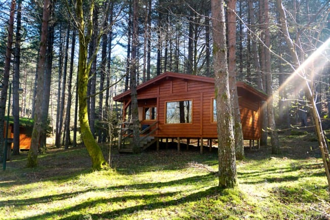 Make your Scout Hut Look Better: Here’s How | DayMoms.com