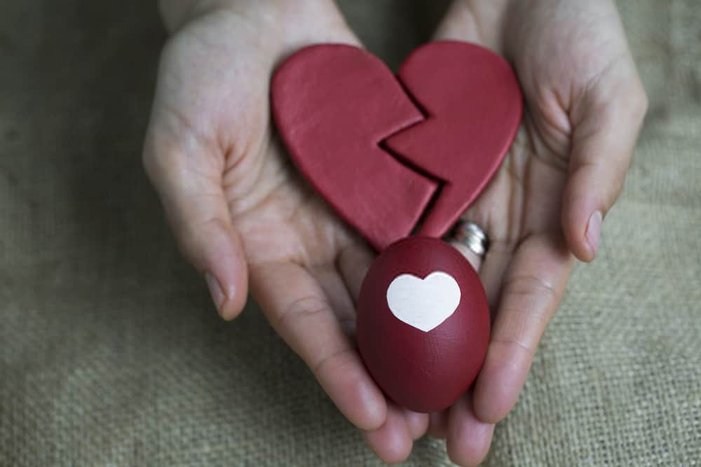 The Egg Donation Process: What To Expect | DayMoms.com