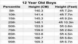 The Ultimate Guide to 12-Year-Olds’ Heights: Boys and Girls – DayMoms.com