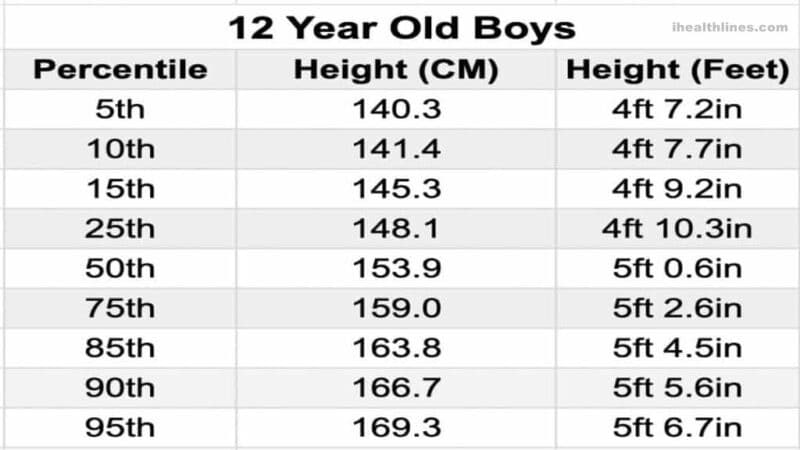 The Ultimate Guide to 12-Year-Olds’ Heights: Boys and Girls | DayMoms.com