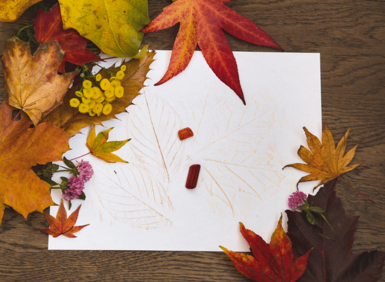Mindful Fall Activities for Kids – DayMoms.com
